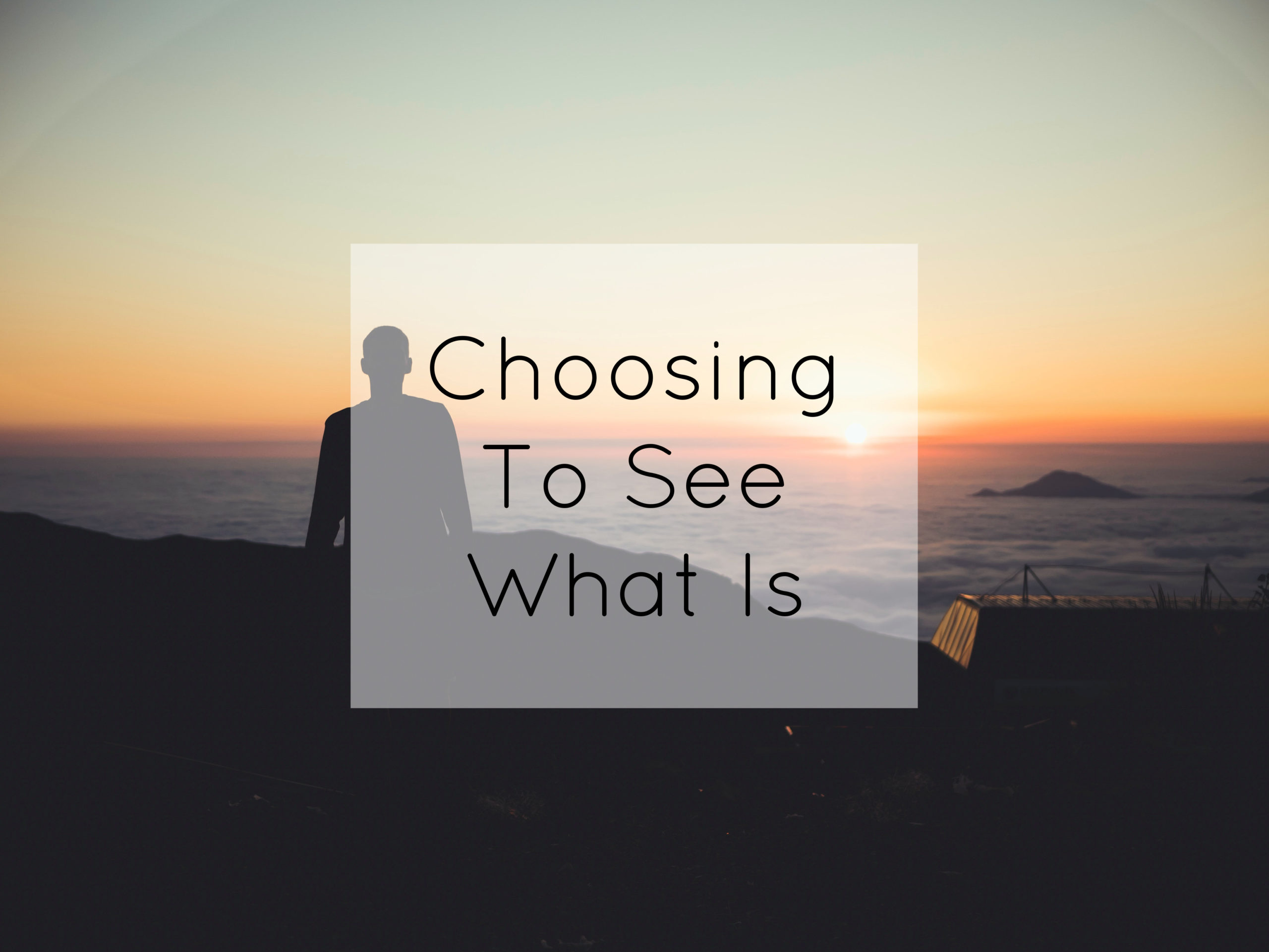 Choosing To See What Is - Kristin Sterk