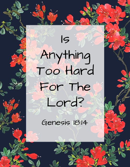 Is Anything Too Hard For The Lord? - Kristin Sterk
