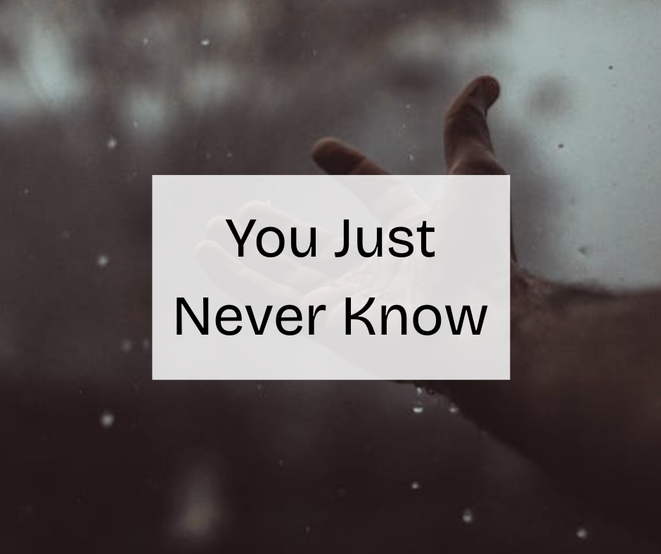 You Just Never Know - Kristin Sterk